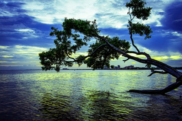 Key Biscayne Sunset - Prints for Sale